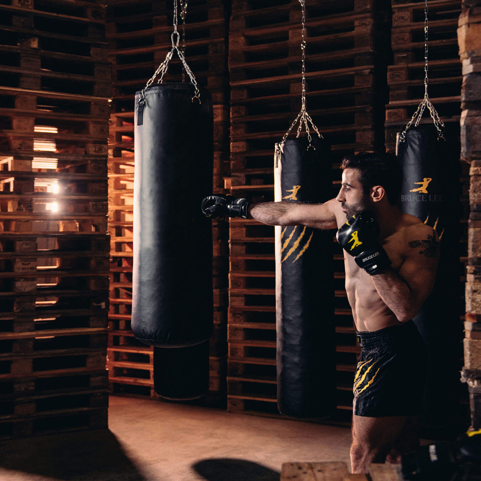 Thes Boksi profesional - iBuy.al